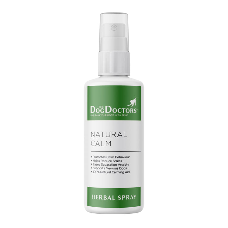 Natural Calming Aids for Dogs | The Dog Doctors